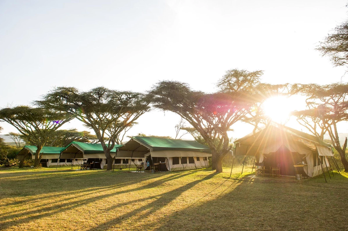 6-Day Tanzania Safari: 3 Incredible Wildlife Parks